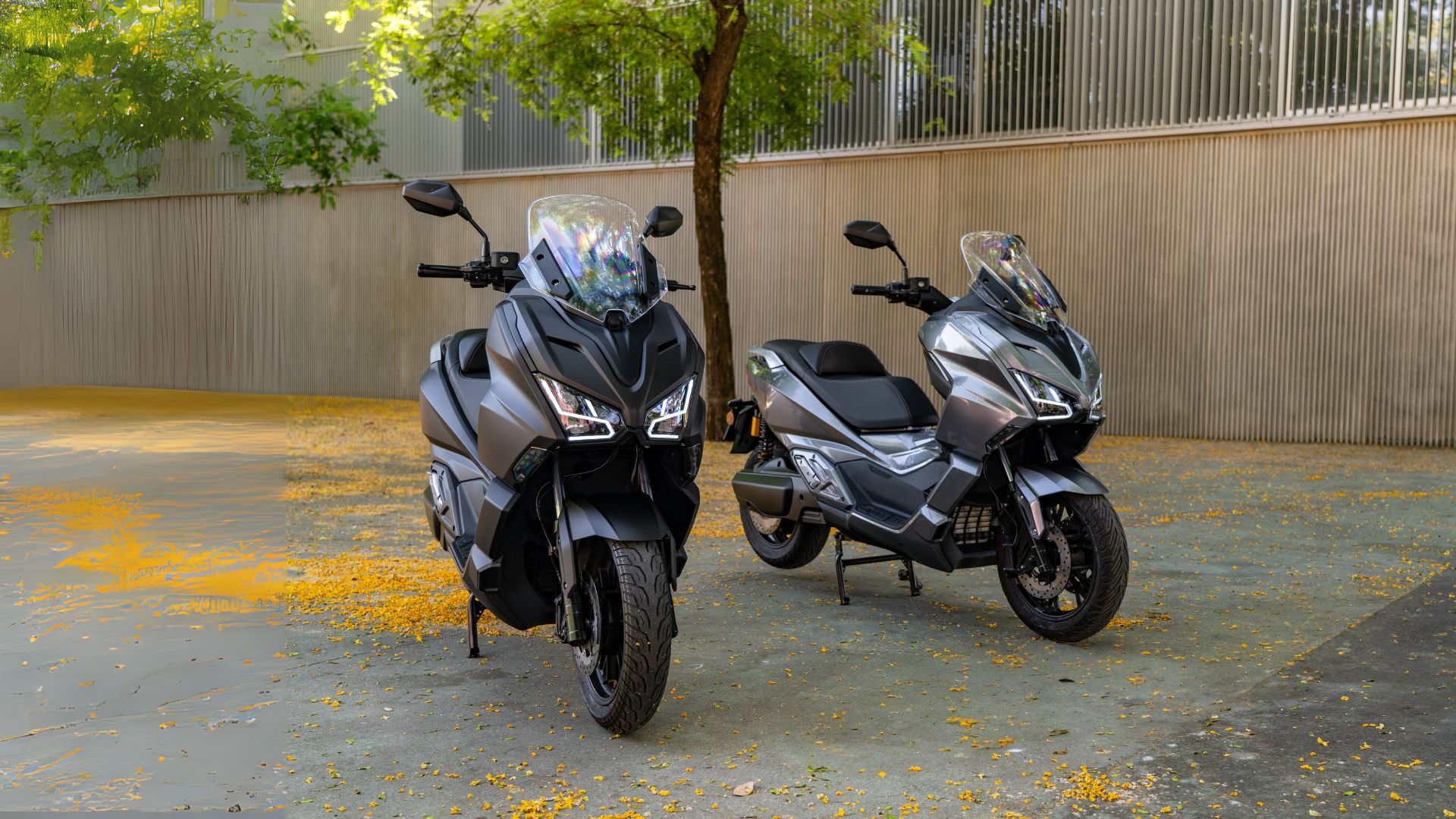 Lion - EFUN - Motos Eléctricas